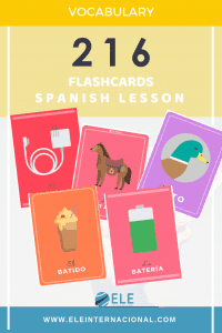 Pack con tarjetas temáticas de vocabulario - ELEInternacional
