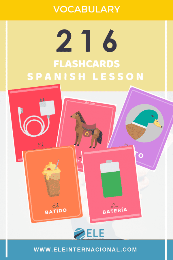 Pack con tarjetas temáticas de vocabulario - ELEInternacional