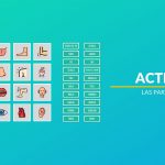 Las partes del cuerpo humano en español [juego para repasar el léxico]