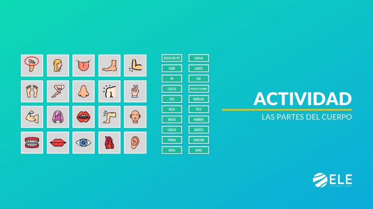 Las partes del cuerpo humano en español [juego para repasar el léxico]