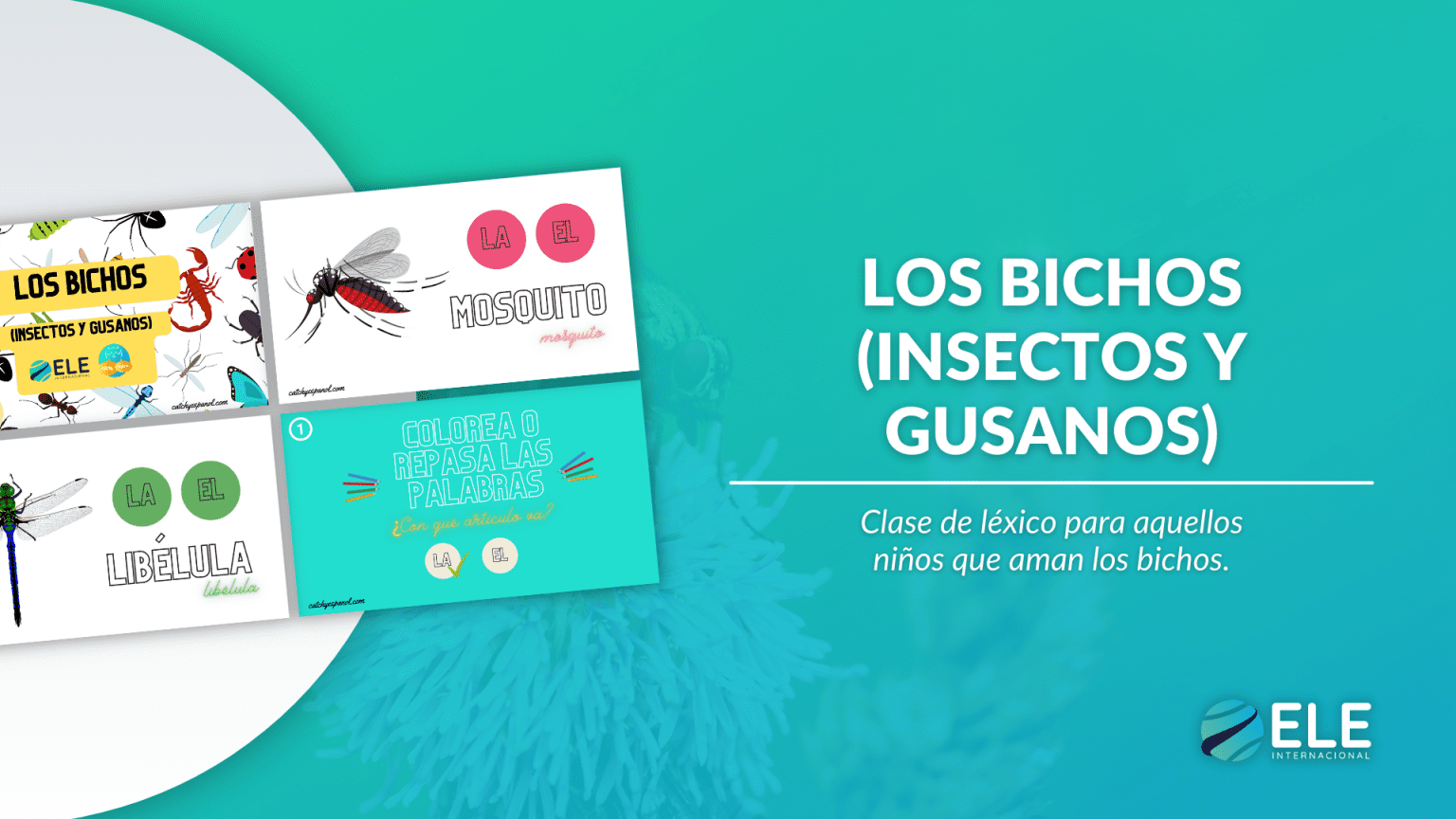 Insectos y bichos en español: clase de vocabulario de animales para niños