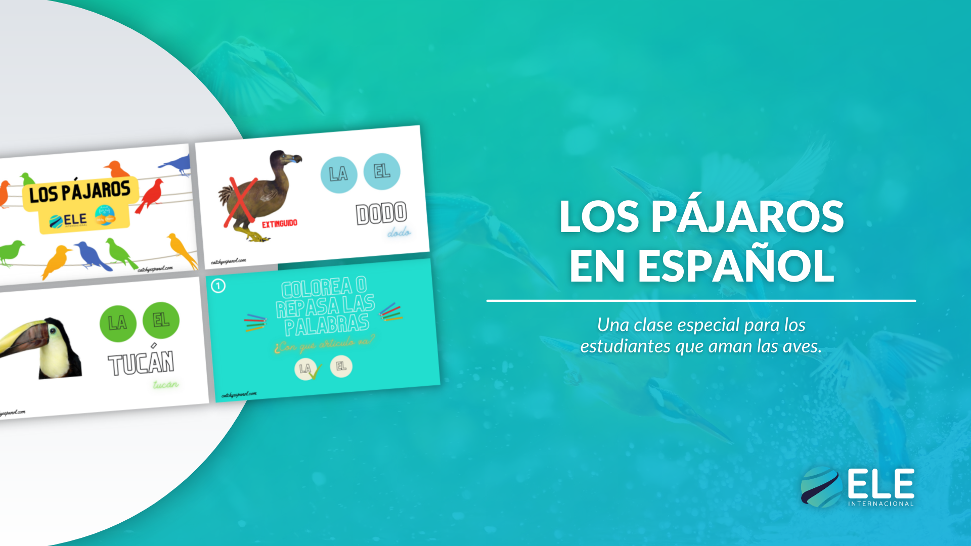 Actividad para aprender los nombres de aves en español (para niños)